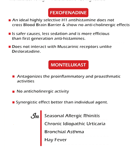 Montum FX – zentum
